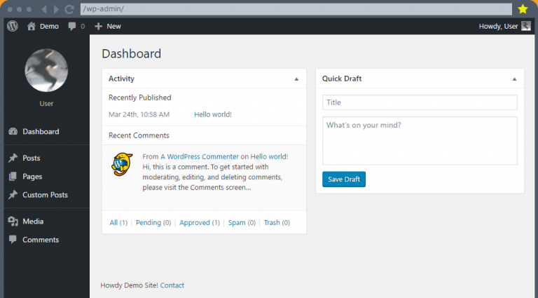 My Wp Customize Wordpress Customize Plugin